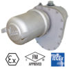2910 Float & Tape Level Switch | Varec